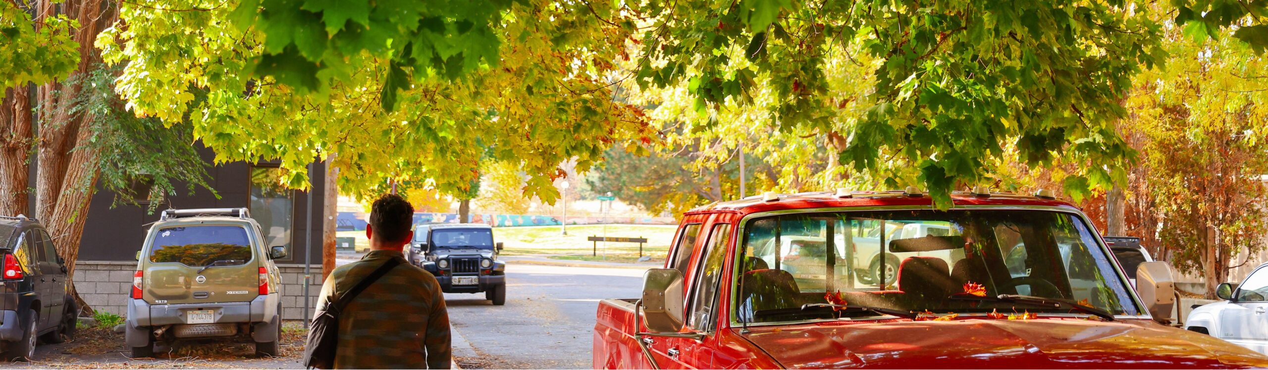 406 License Plate - Downtown Missoula Partnership